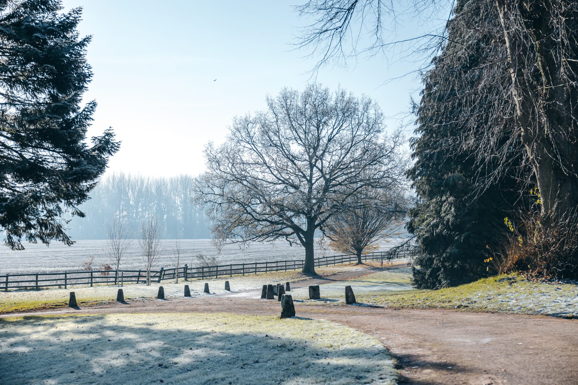 The House at Ellerton Hall Estate